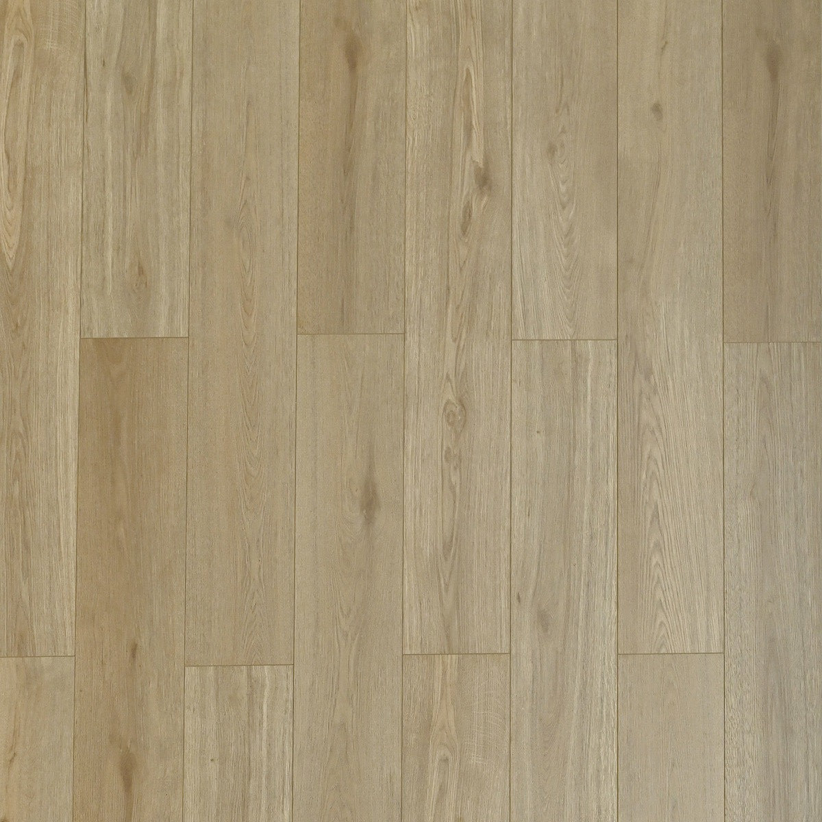 Melrose Laminate $2.99/sqf 20.56sqf/box – Source Flooring KW