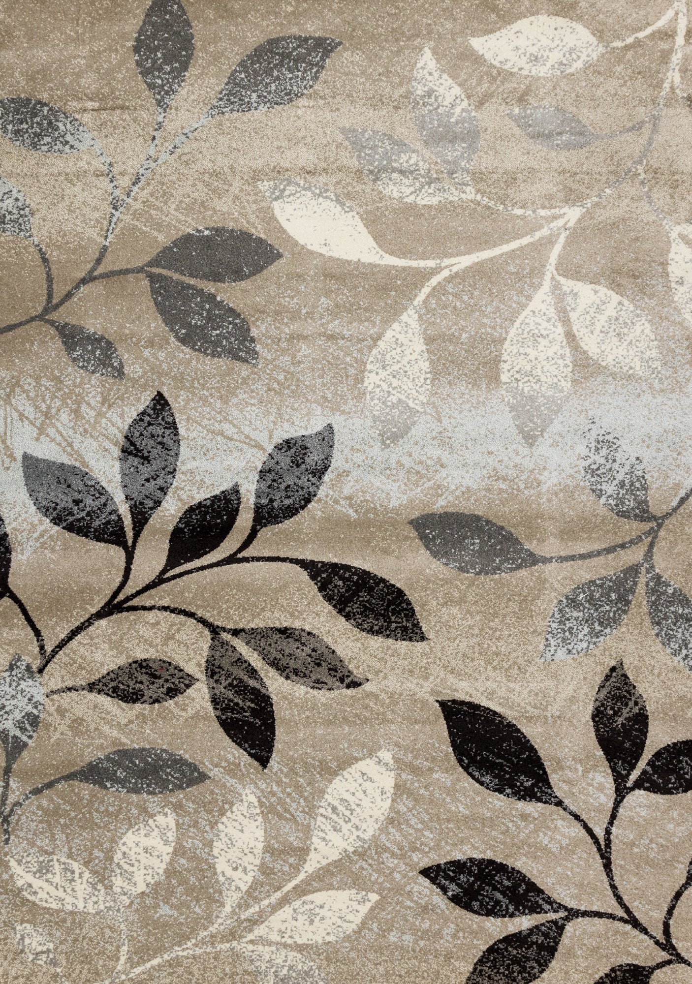 Casa 3926/275 – Source Flooring KW