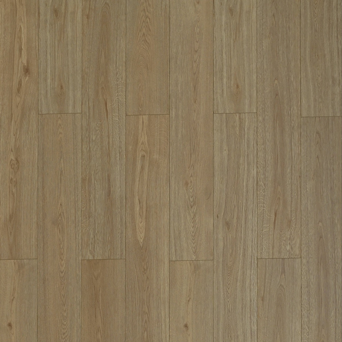 Laminate – Source Flooring KW